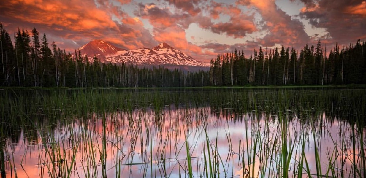 Willamette National Forest - Oregon is Beautiful
